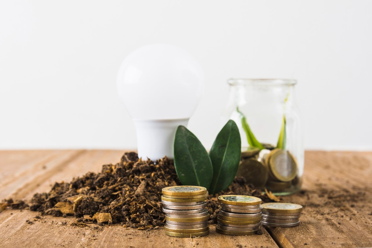 How to Save Energy and Money in 2023 - Viral Kaboom