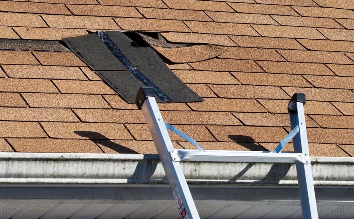 Effective Roof Maintenance Tips for Every Homeowner - Viral Kaboom